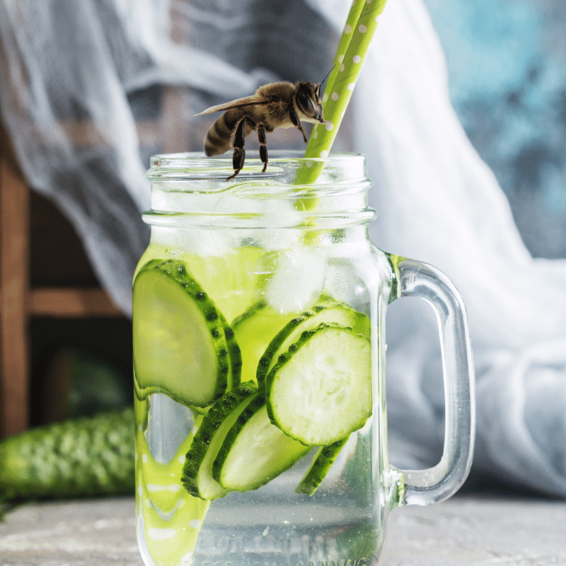 Best Stinger Detox Review and How It Help You Detoxify